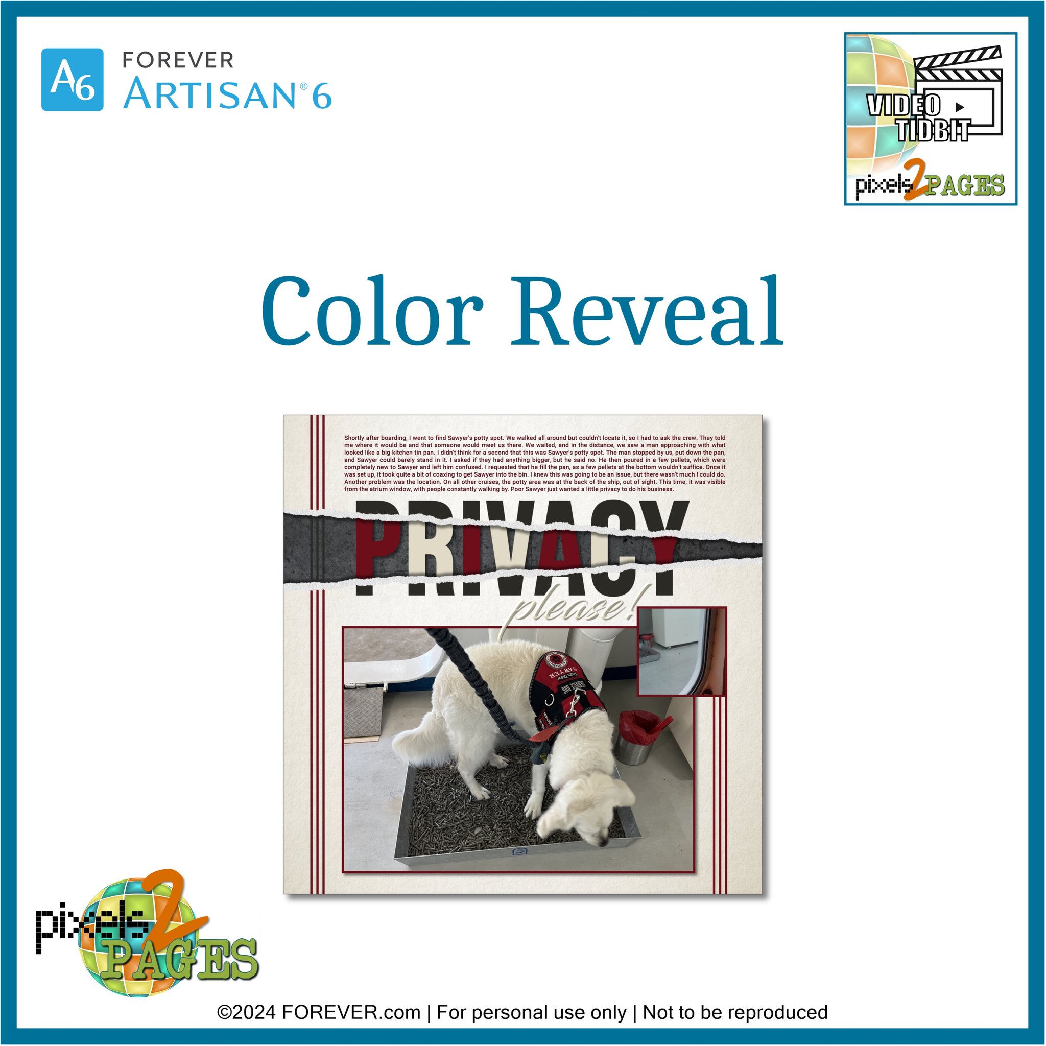 Video Tidbit: Color Reveal | Album by FOREVER pixels2Pages | FOREVER.com