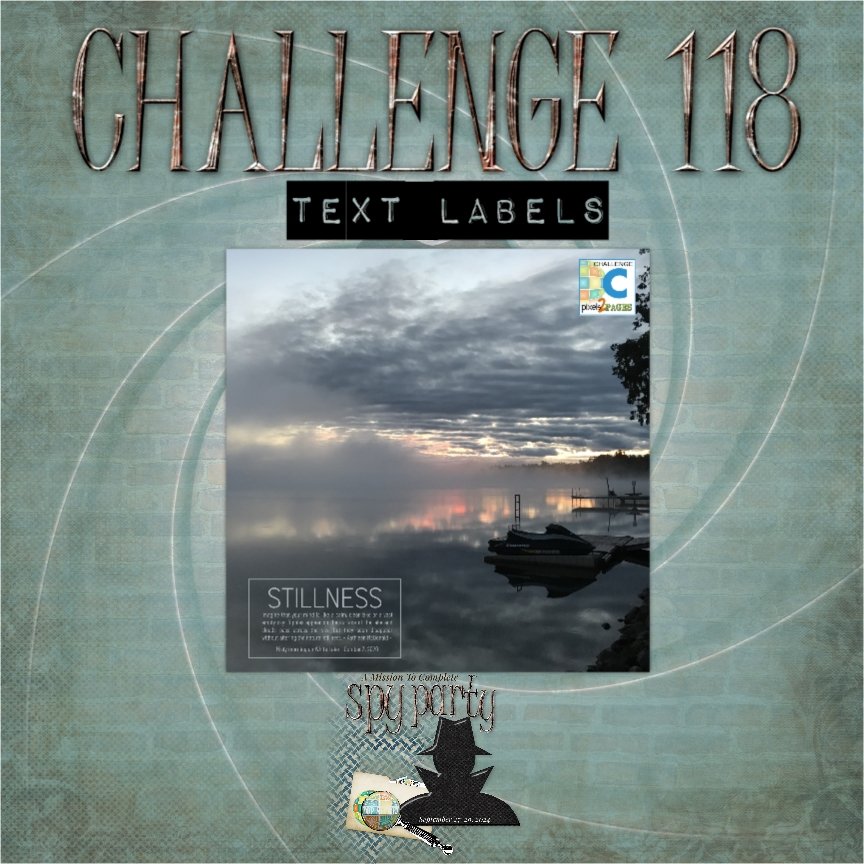 Challenge 118 Text Labels (Spy Party Crop) | Album by FOREVER ...
